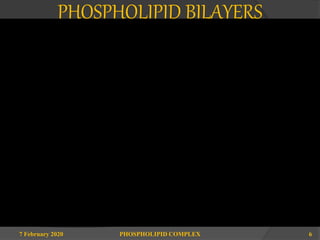 Phospholipid complex ppt | PPT