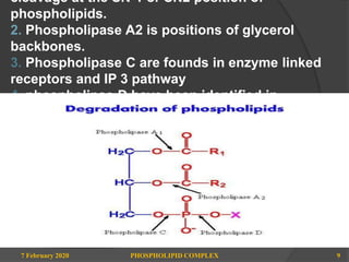 Phospholipid complex ppt | PPT