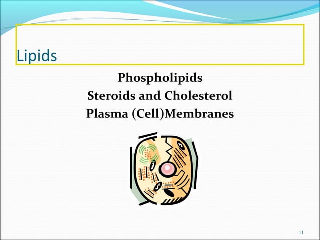 Phospholipids | PPT