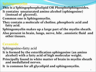 Phospholipids | PPT