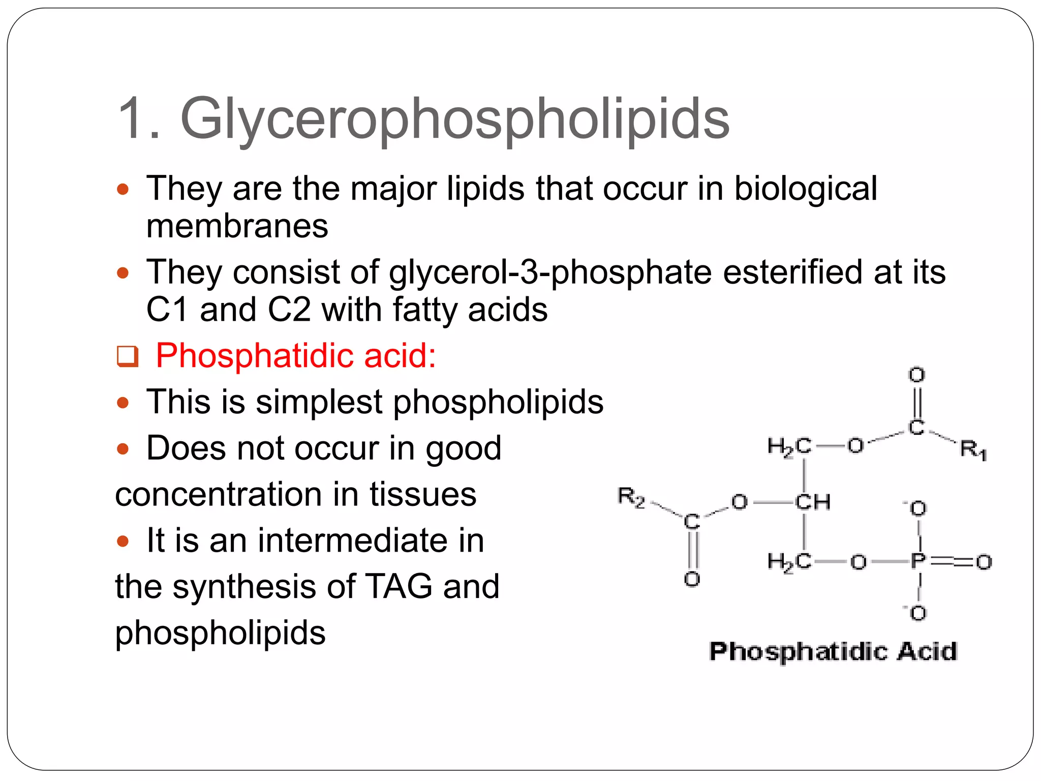 Phospholipids | PPTX