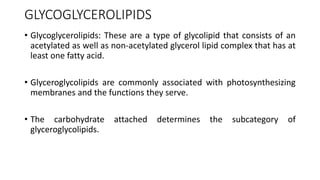 PHOSPHOLIPIDS.ppt