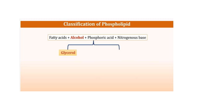 PHOSPHOLIPIDS.ppt