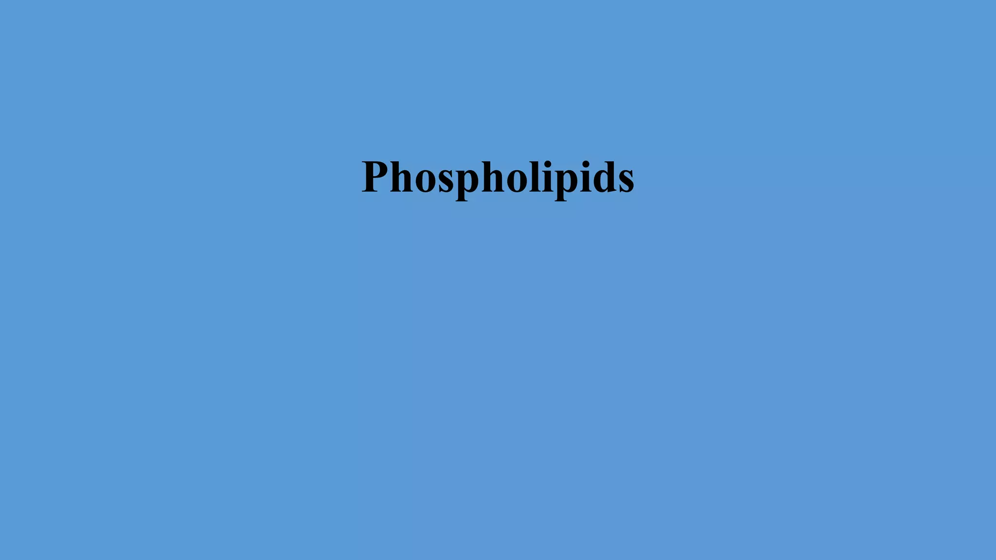 Phospholipids.pptx
