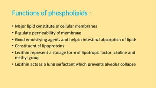 Phospholipids.pptx