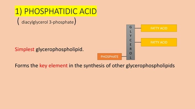 Phospholipids Pptx