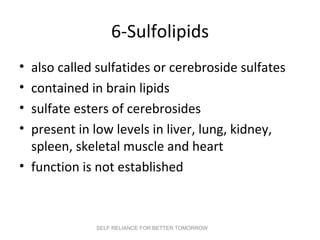 Phospholipids cholesterol | PPT