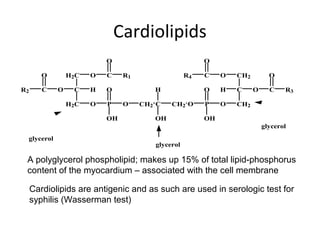 Phospholipids cholesterol ---Sir Khalid (Biochem) | PPT