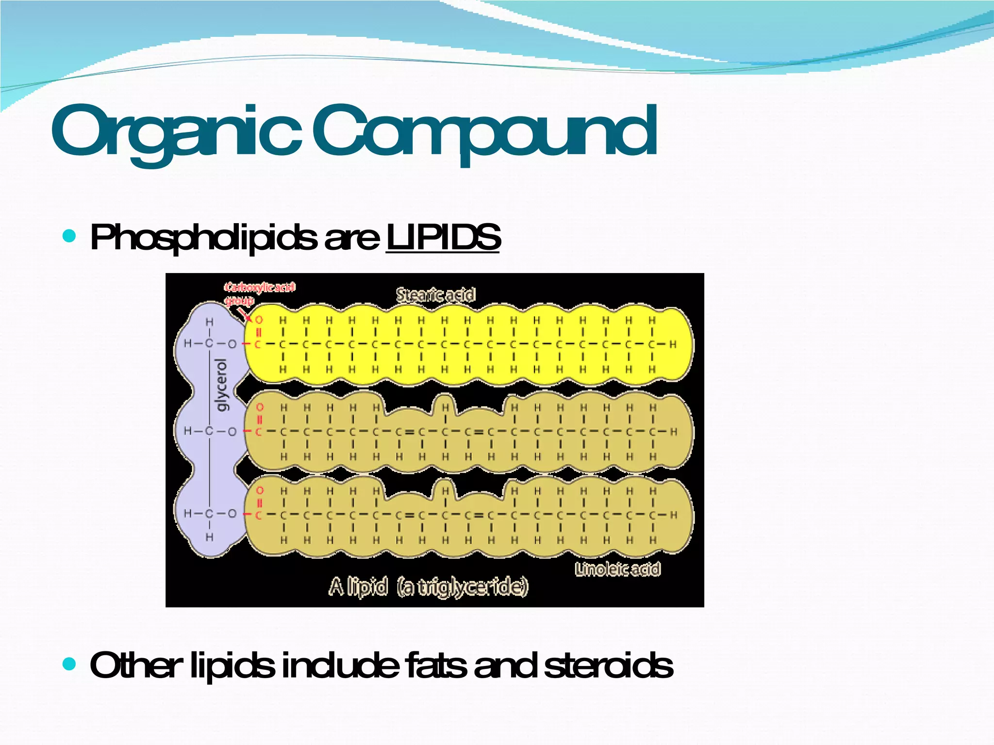 Phospholipids 2003 | PPT