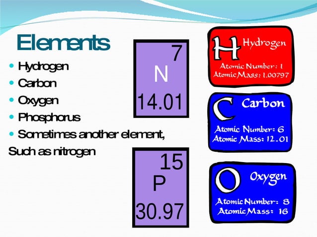 Phospholipids 2003 | PPT