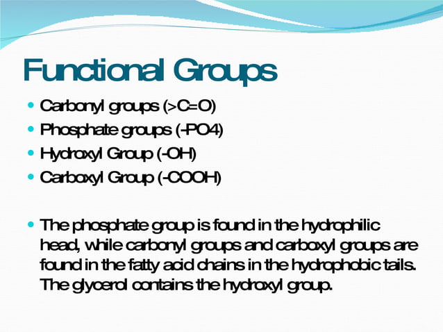 Phospholipids 2003 | PPT