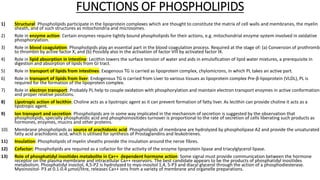 PHOSPHOLIPIDS by Jared Ronoh.pptx