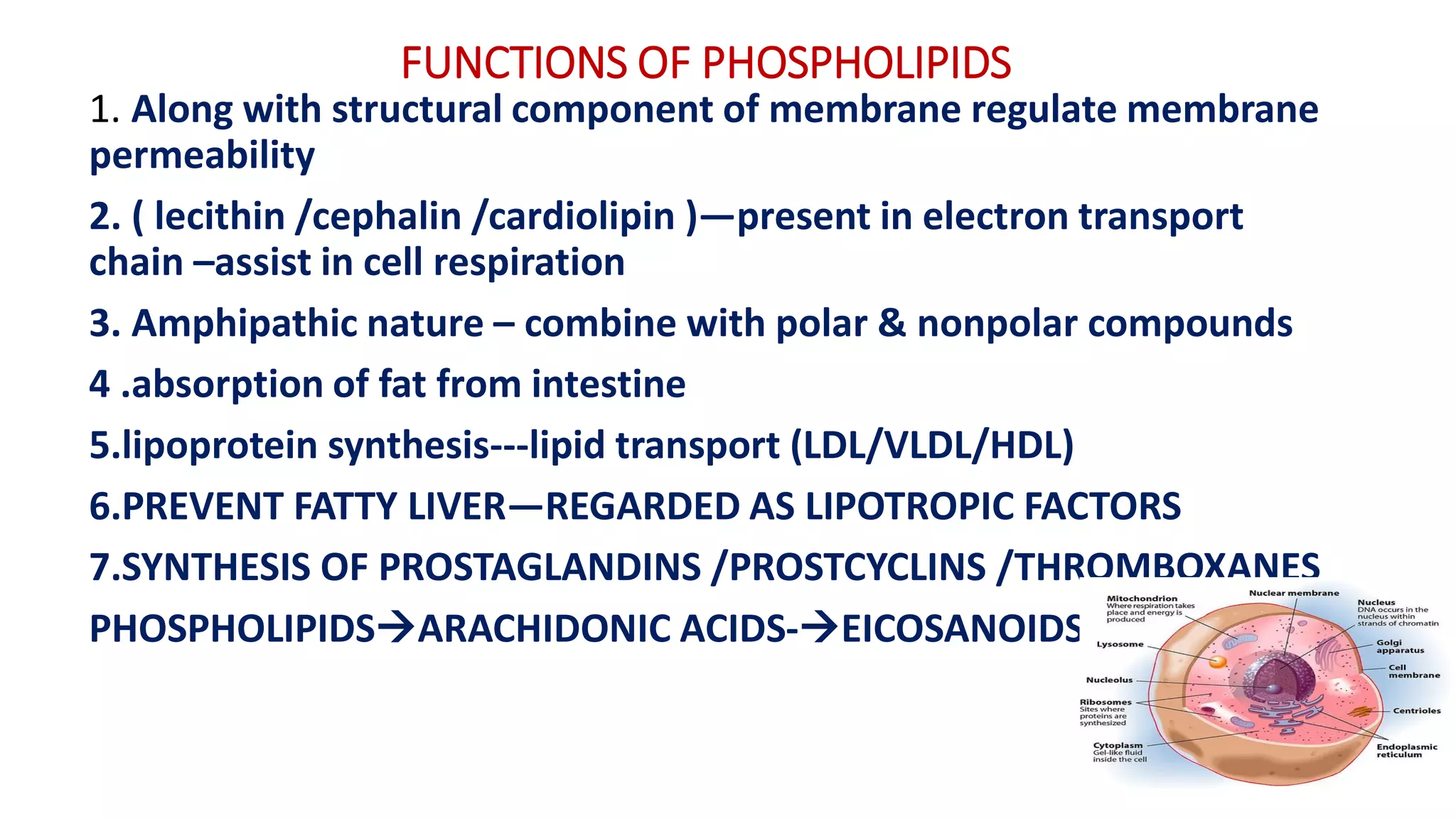 Chemistry of Phospholipids | PDF
