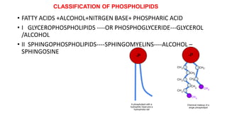 Chemistry of Phospholipids | PDF
