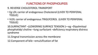 Phospholipids chemistry & lipid storage diseases | PDF