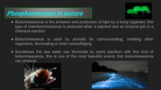 Phosphorescence | PPTX