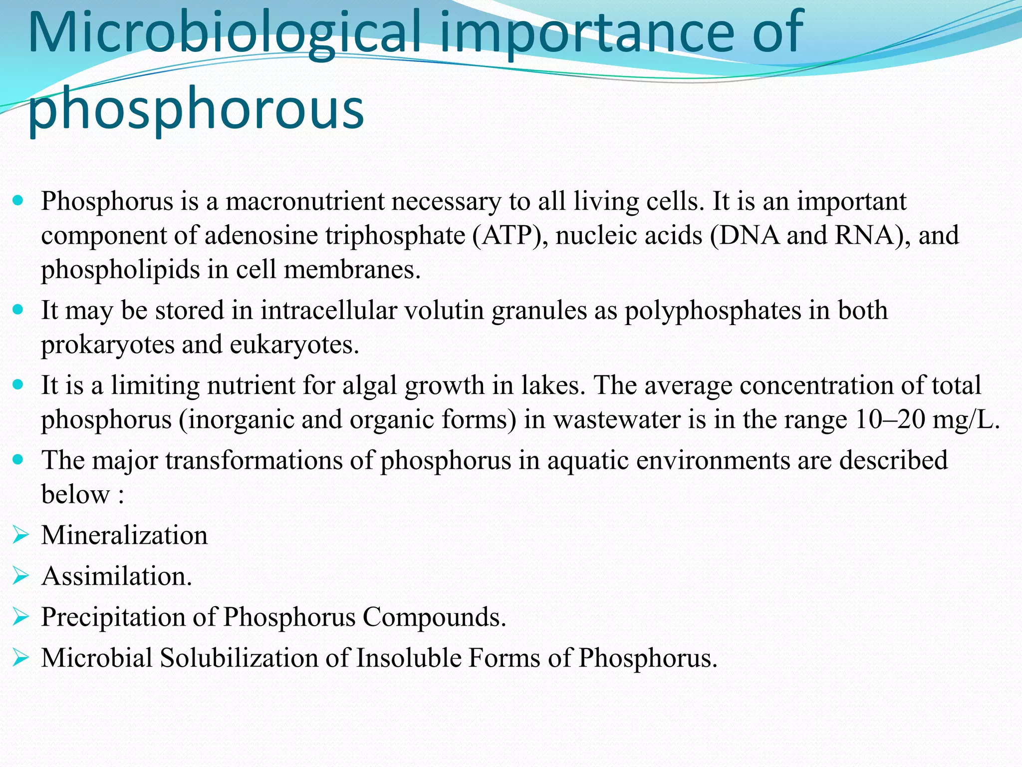 Phosphorous cycle | PPTX