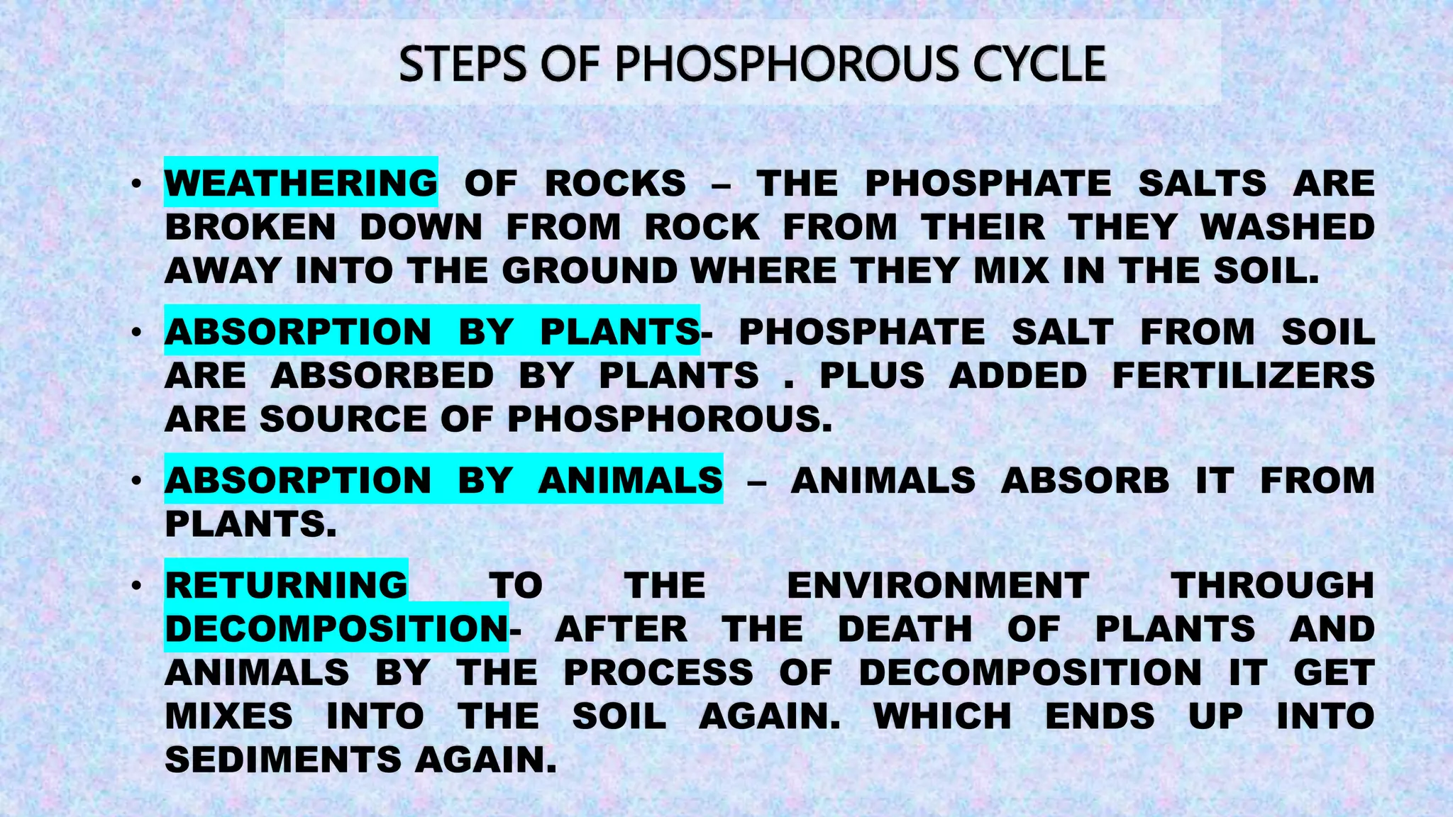 PHOSPHOROUS CYCLE by Pranzly.pptx
