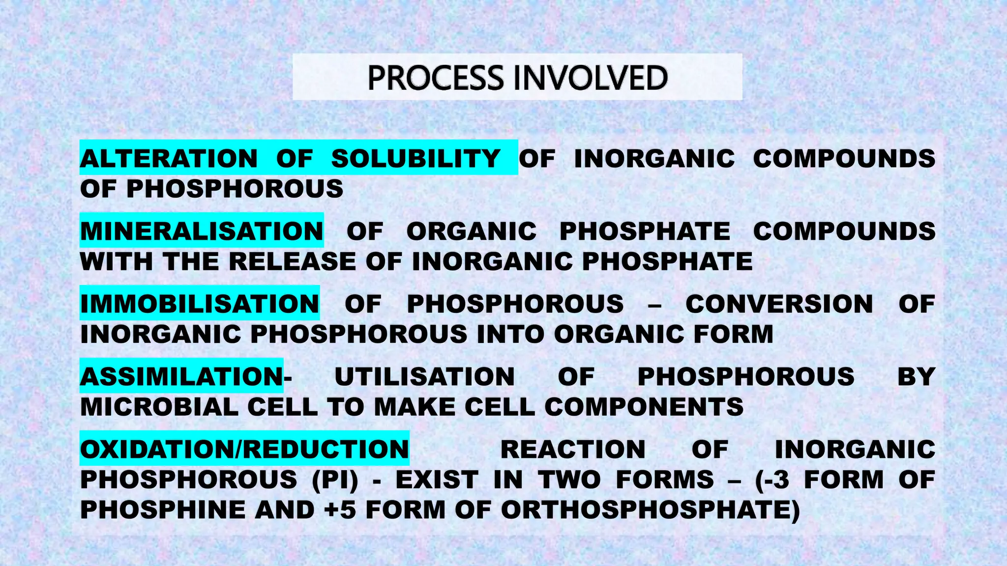 PHOSPHOROUS CYCLE by Pranzly.pptx | Gardening | Home & Garden