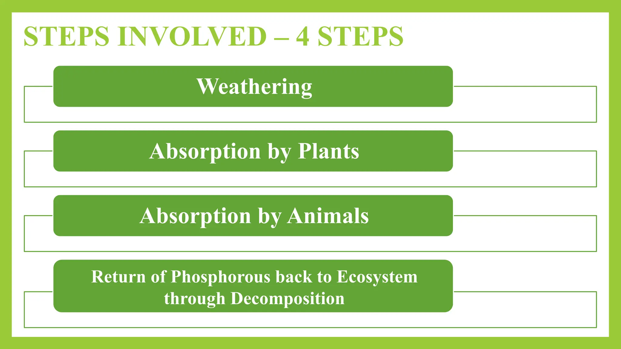 Biogeo chemical cycle...(Phosphorous cycle).pptx