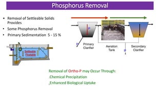 Phosphorous removal | PPTX
