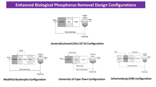 Phosphorous removal | PPTX