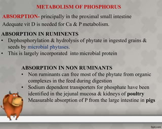 Phosphorus | PPT