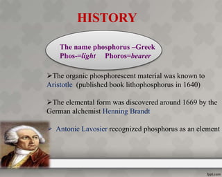 Phosphorus | PPT