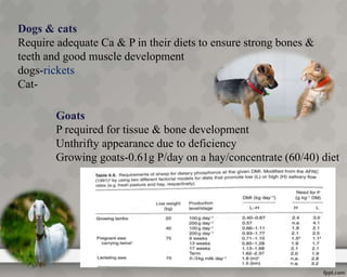 Phosphorus | PPT | Pet Supplies | Pets