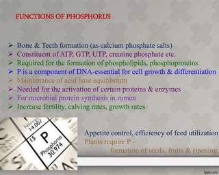 Phosphorus | PPT