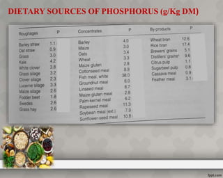 Phosphorus | PPT