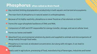 Phosphorus.pptx