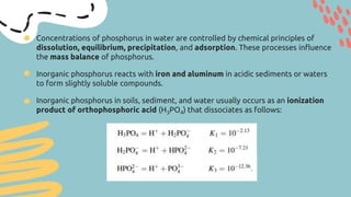 Phosphorus.pptx