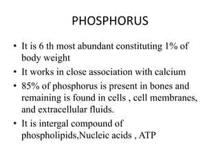 PHOSPHORUS and its uses in human body with its properties | PPTX