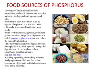 PHOSPHORUS and its uses in human body with its properties | PPTX