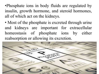 PHOSPHORUS and its uses in human body with its properties | PPTX