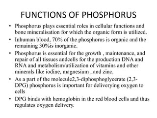 PHOSPHORUS and its uses in human body with its properties | PPTX