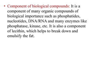 PHOSPHORUS and its uses in human body with its properties | PPTX
