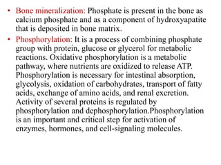 PHOSPHORUS and its uses in human body with its properties | PPTX