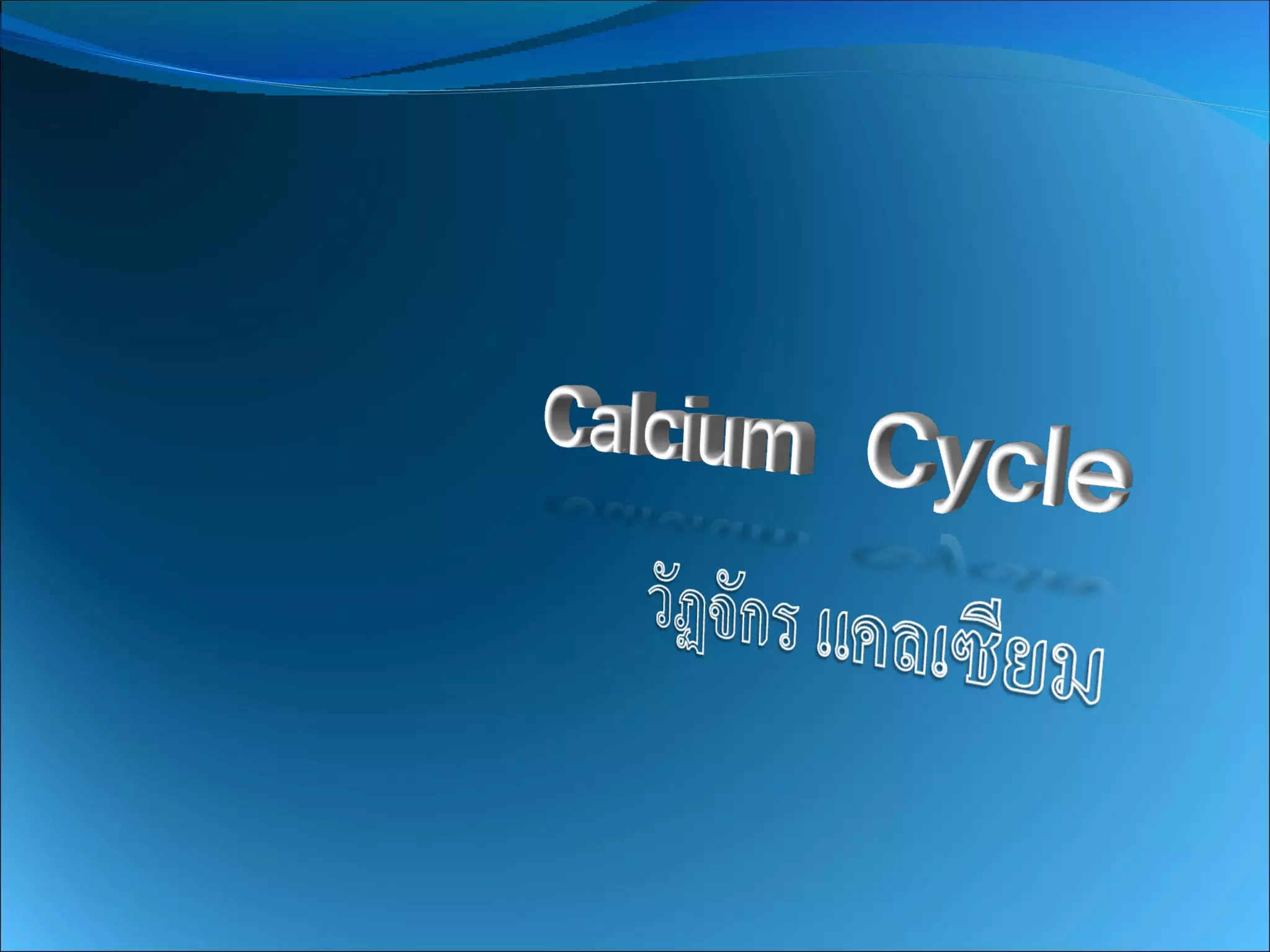 Phosphorus And Calcium Cycle | PPT