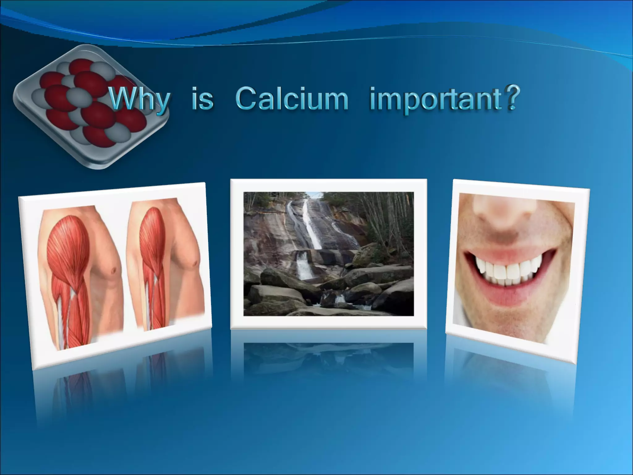 Phosphorus And Calcium Cycle | PPT