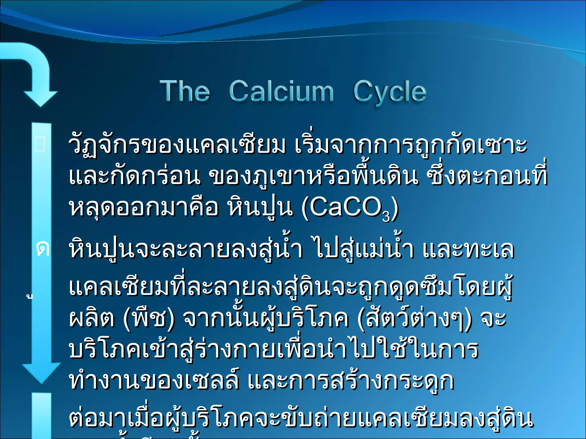 Phosphorus And Calcium Cycle | PPT
