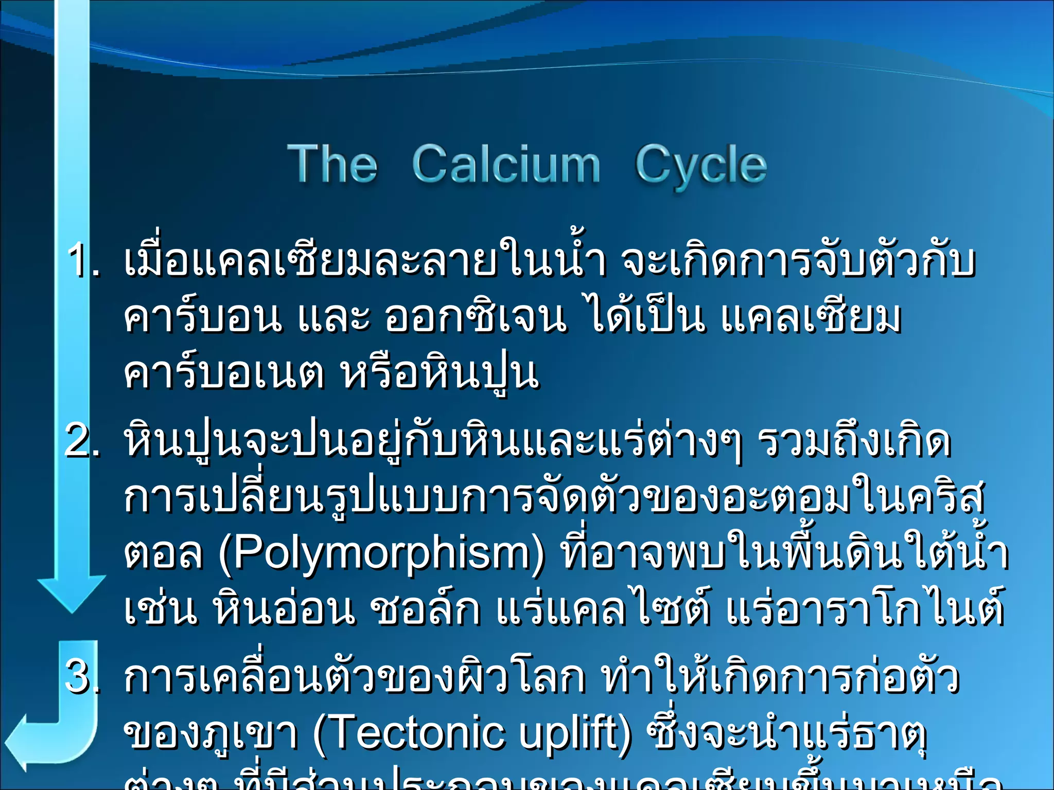 Phosphorus And Calcium Cycle | PPT