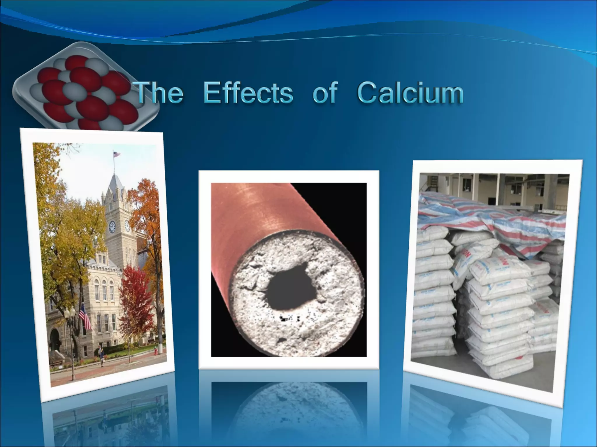 Phosphorus And Calcium Cycle | PPT