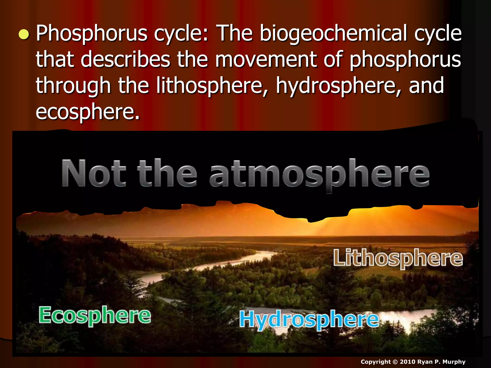 Phosphorus Cycle Lesson PowerPoint, Cycles, Biogeochemical Cycles ...