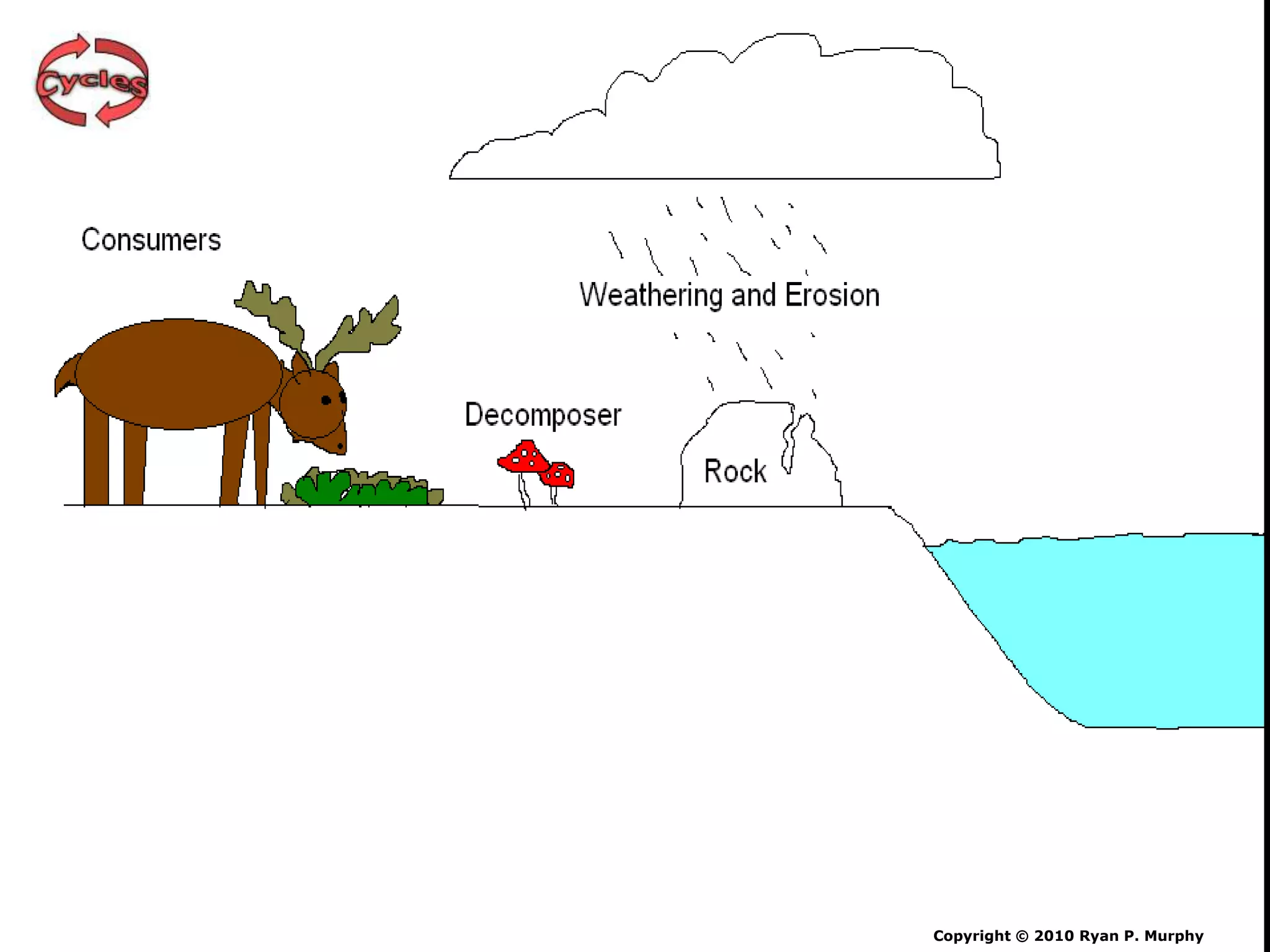 Phosphorus Cycle Lesson PowerPoint, Cycles, Biogeochemical Cycles ...