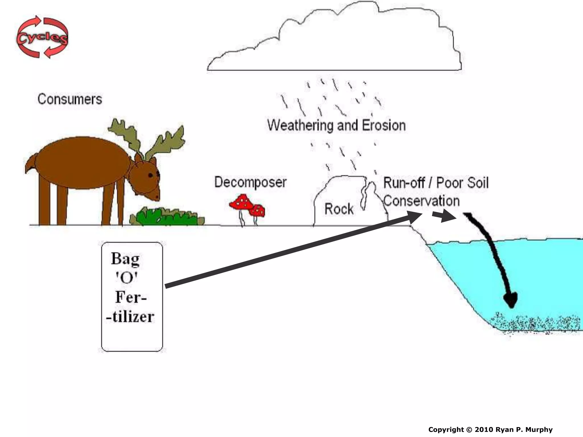 Phosphorus Cycle Lesson PowerPoint, Cycles, Biogeochemical Cycles ...
