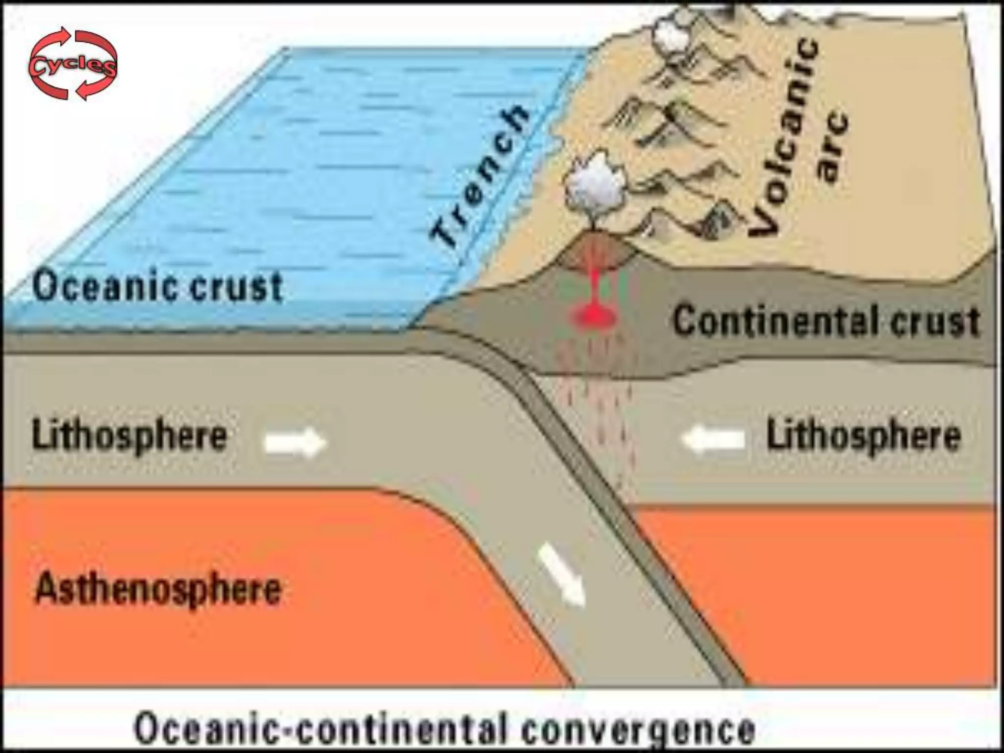 Phosphorus Cycle Lesson PowerPoint, Cycles, Biogeochemical Cycles ...