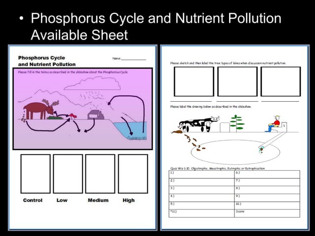 Phosphorus Cycle Lesson PowerPoint, Cycles, Biogeochemical Cycles ...
