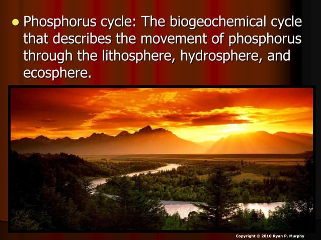 Phosphorus Cycle Lesson PowerPoint, Cycles, Biogeochemical Cycles ...